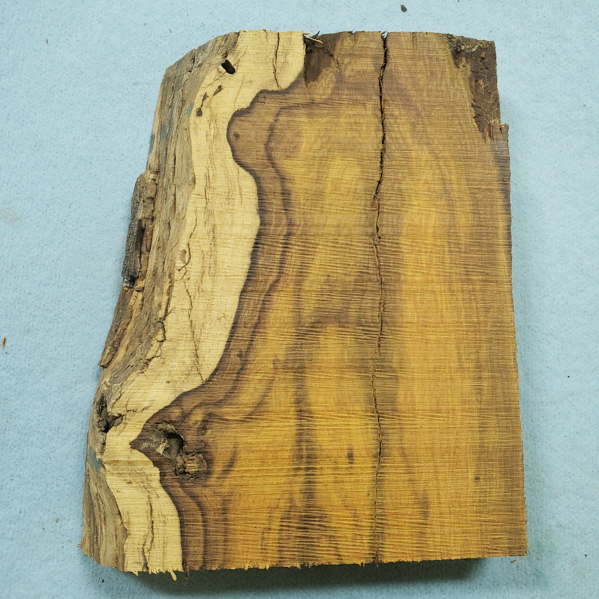 Desert Ironwood