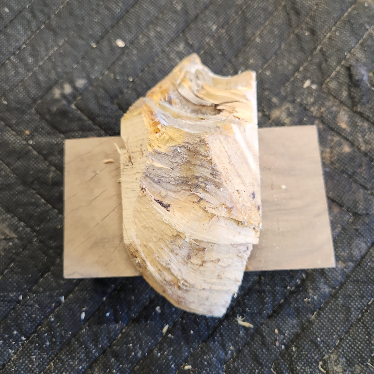 Casting Yellow cedar burl – Oakbrook Wood Turning Supply