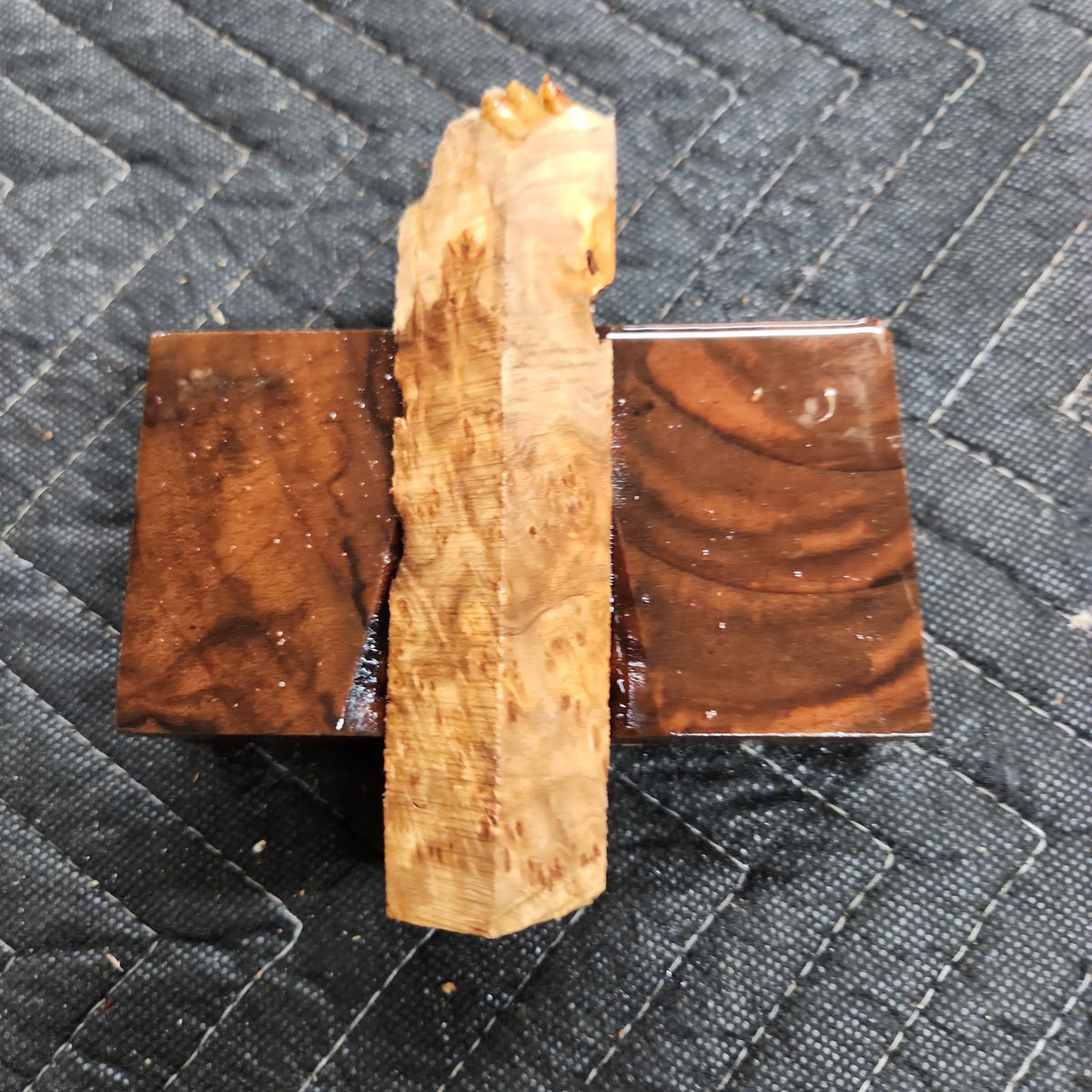 Casting Elm Burl