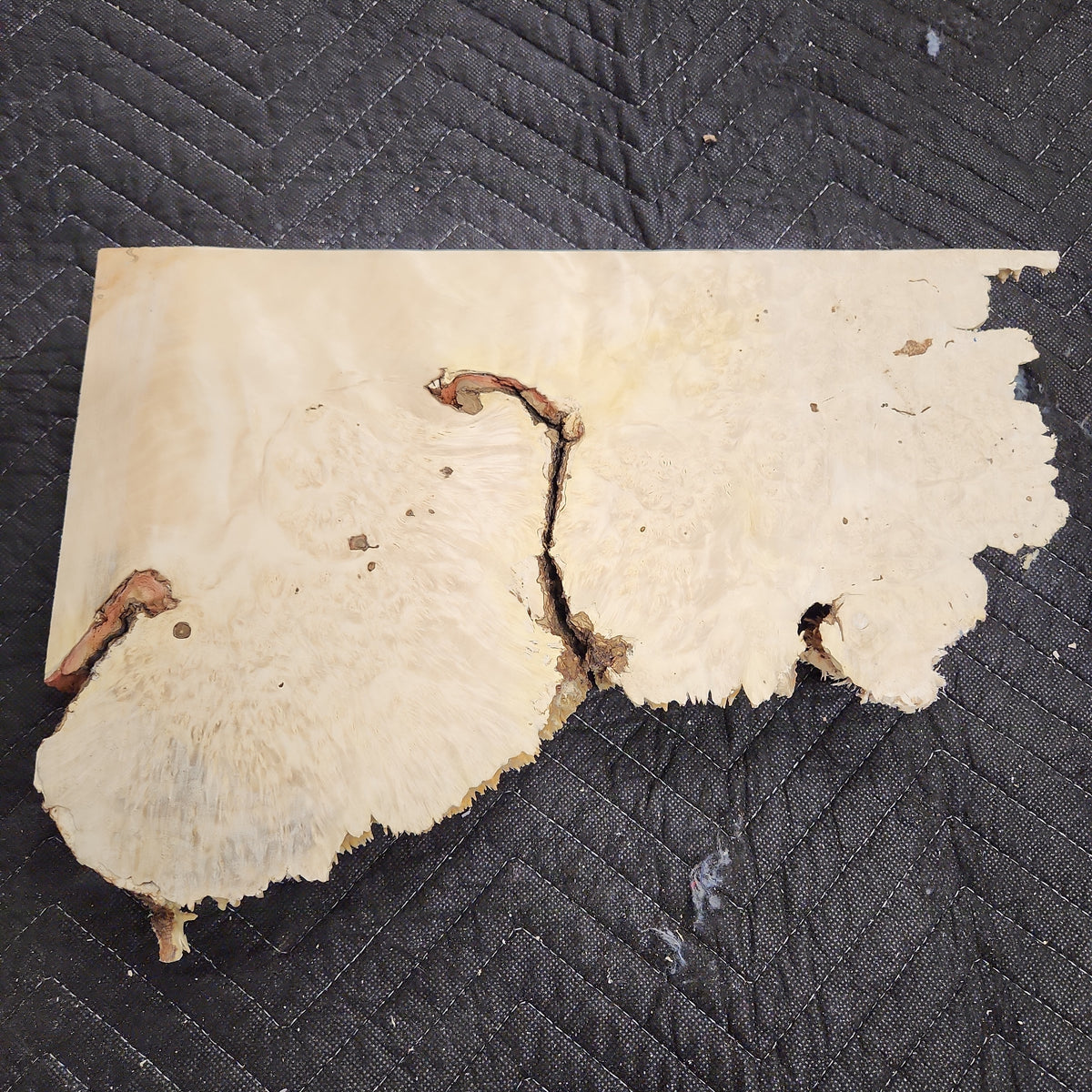 Box Elder Burl Slab
