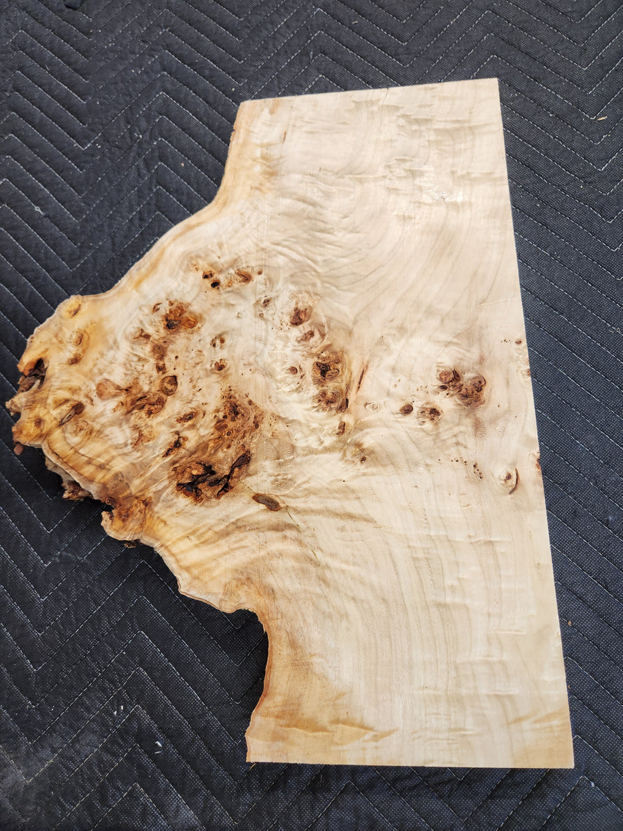 Poplar burl slab | Oakbrook Wood Turning Supply