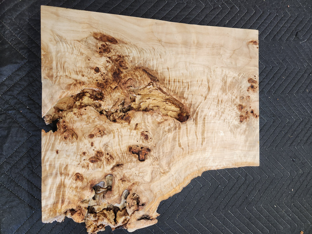 Poplar Burl Slab