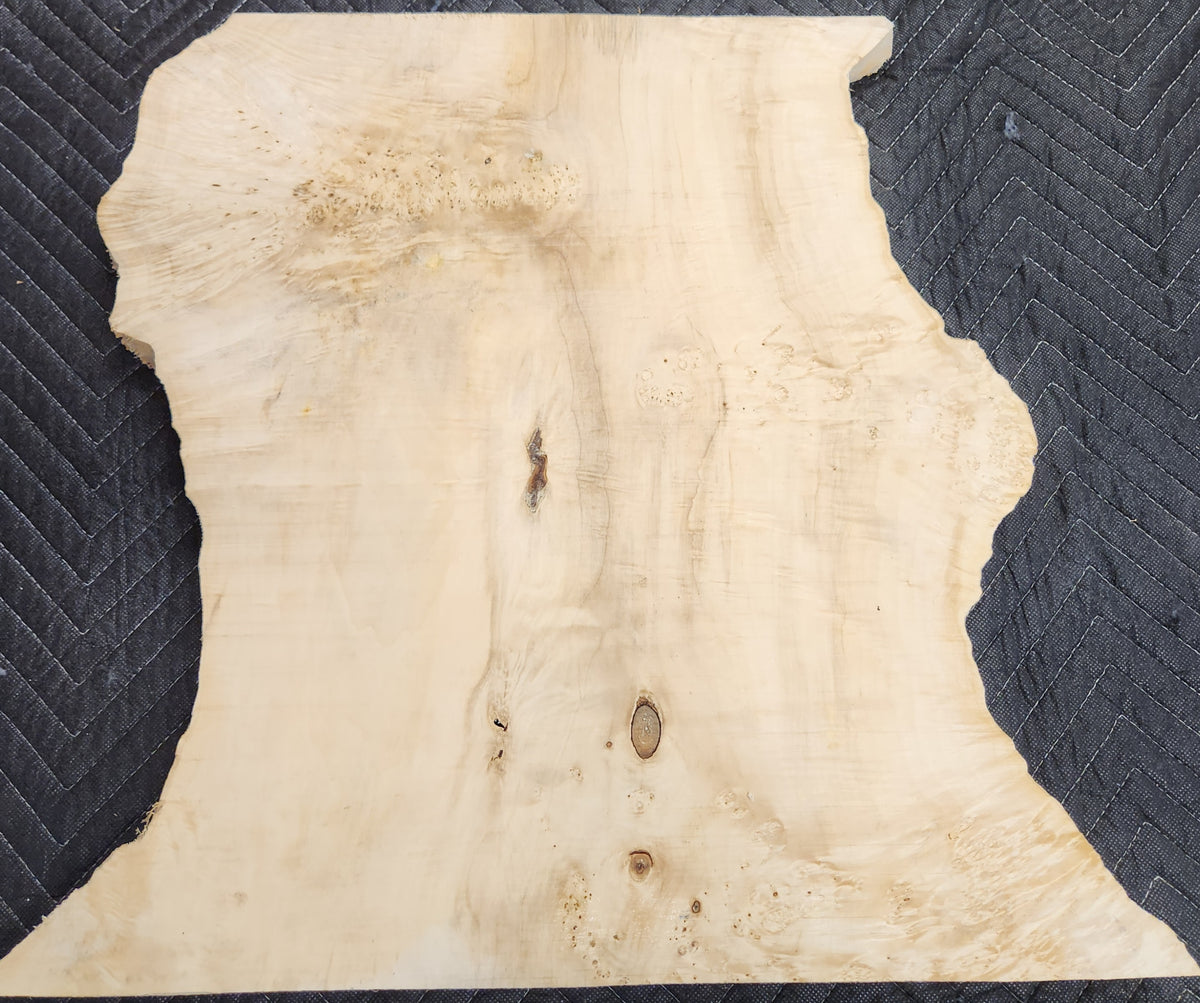 Box Elder Burl Slab