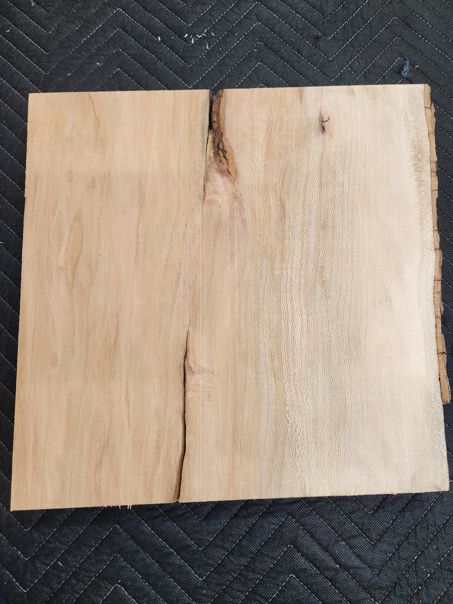 Sycamore Slab