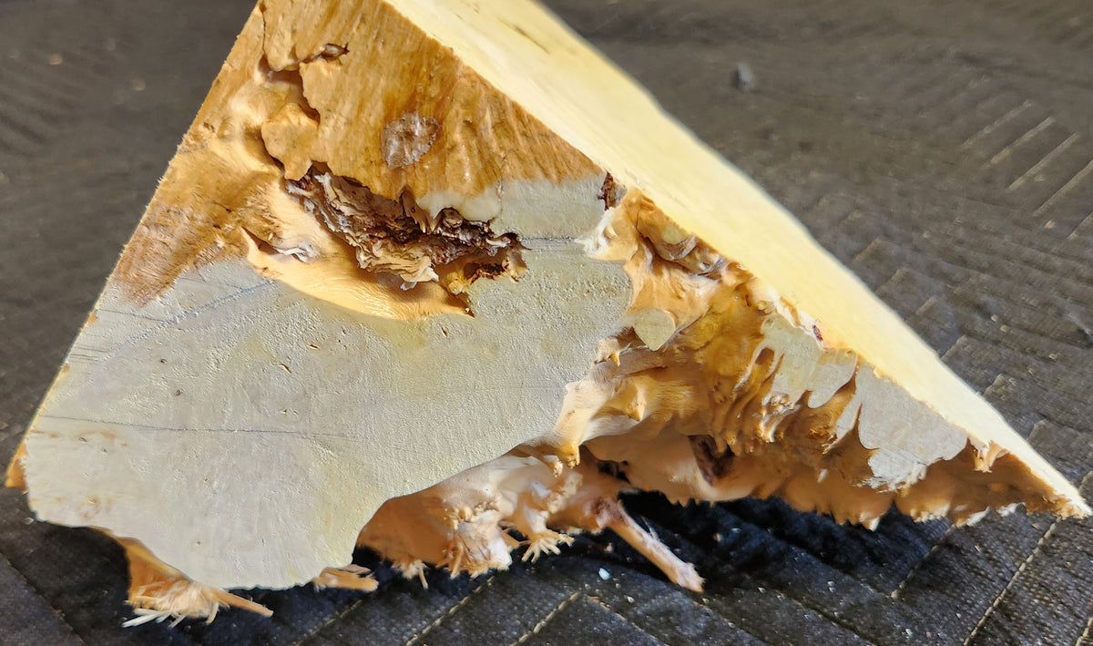 Box Elder Burl Cap