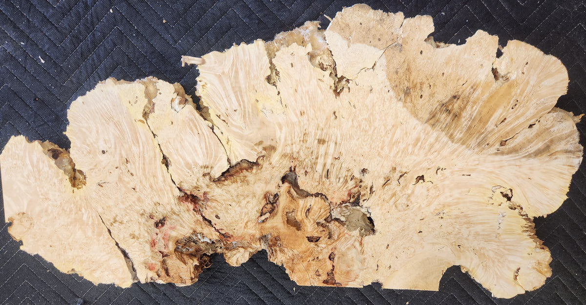 Box Elder Burl Slab