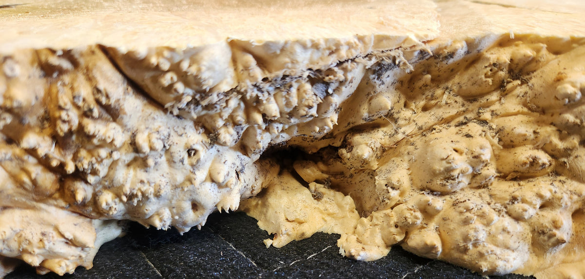 Box Elder Burl Slab