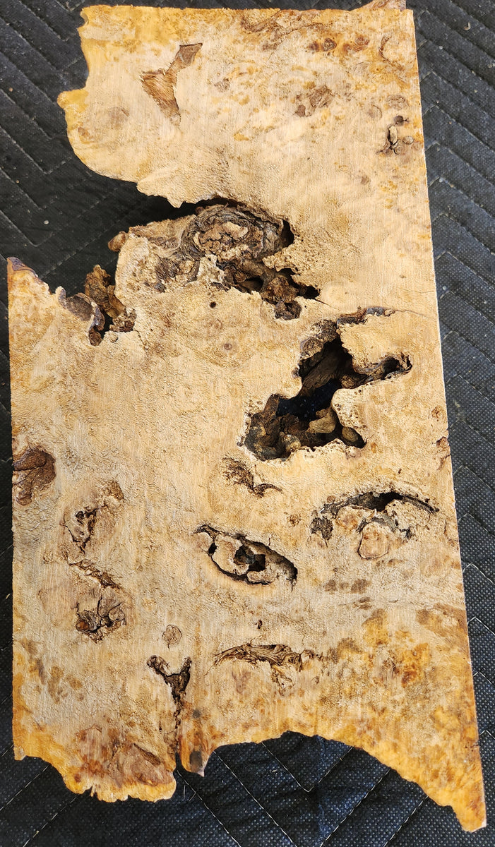 Poplar Burl Cap