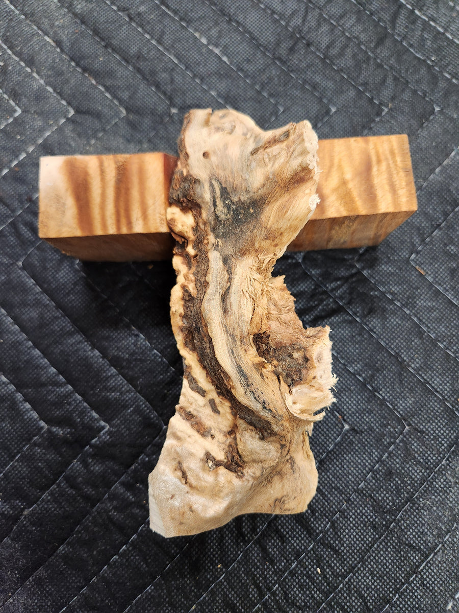 Casting Red Elm Burl