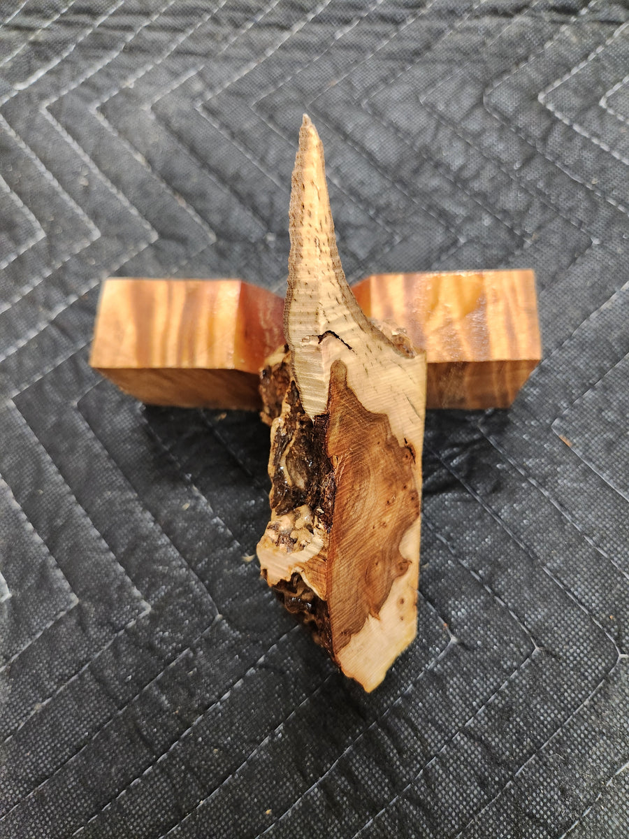 Casting Red Elm Burl