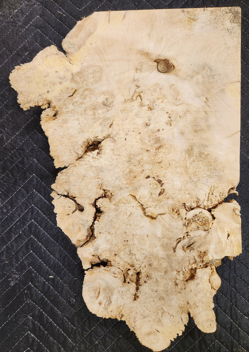 Box Elder Burl Slab