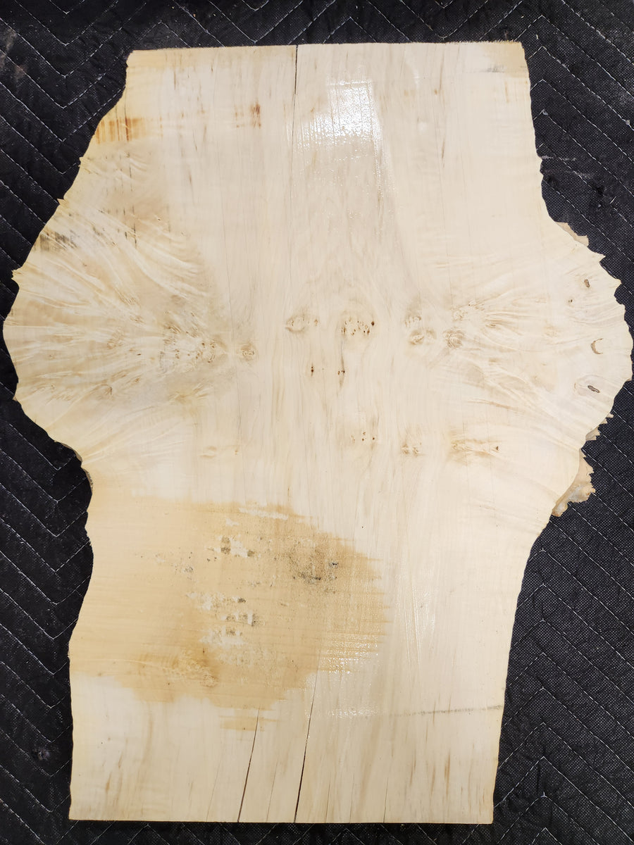 Box Elder Burl Slab