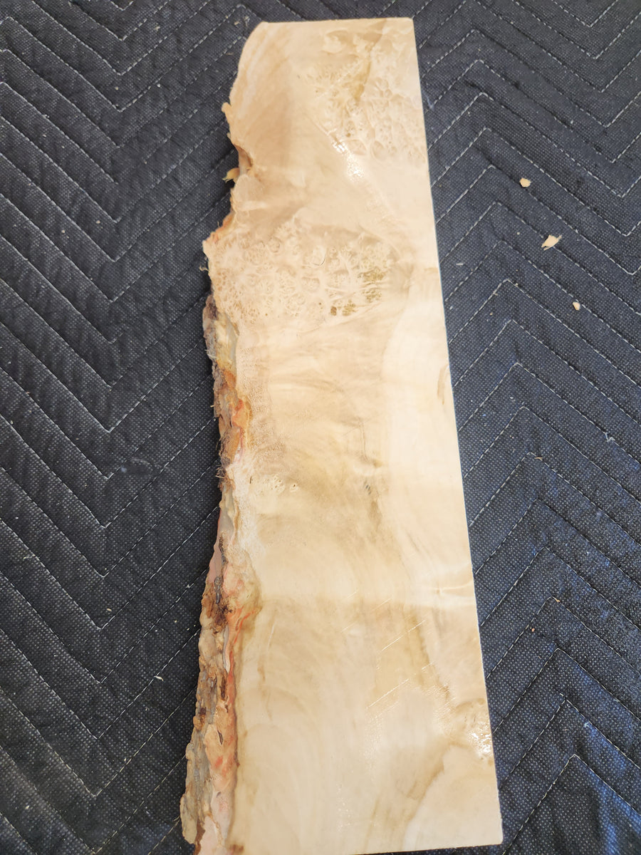 Box Elder Burl Slab