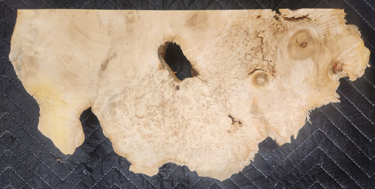 Box Elder Burl Slab