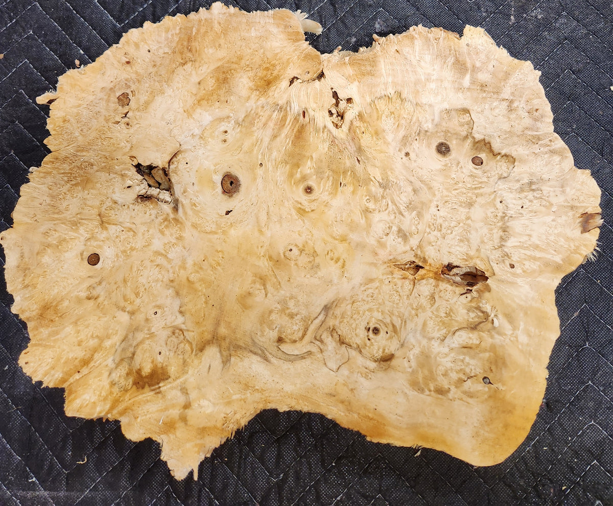 Box Elder Burl Slab
