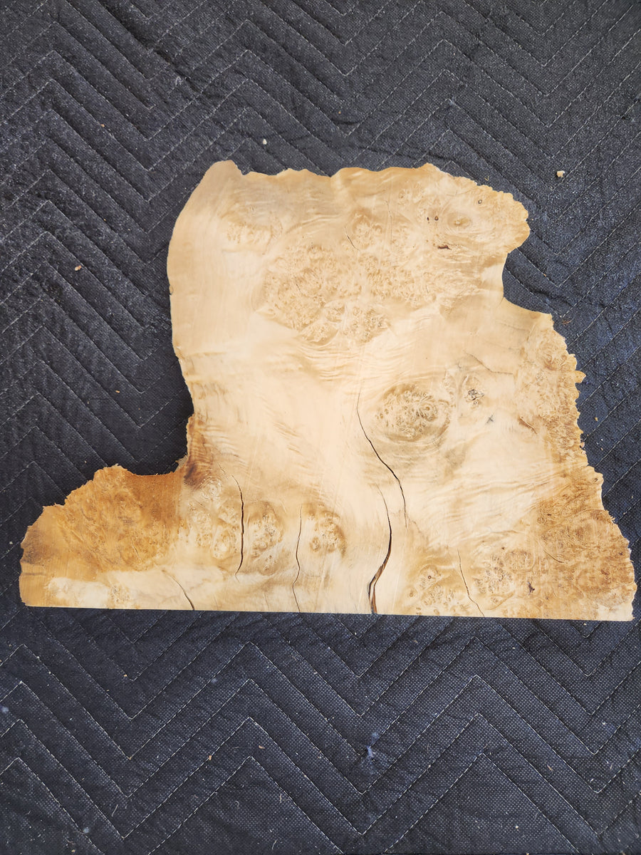 Box Elder Burl Slab