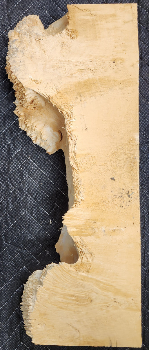 Box Elder Burl Slab