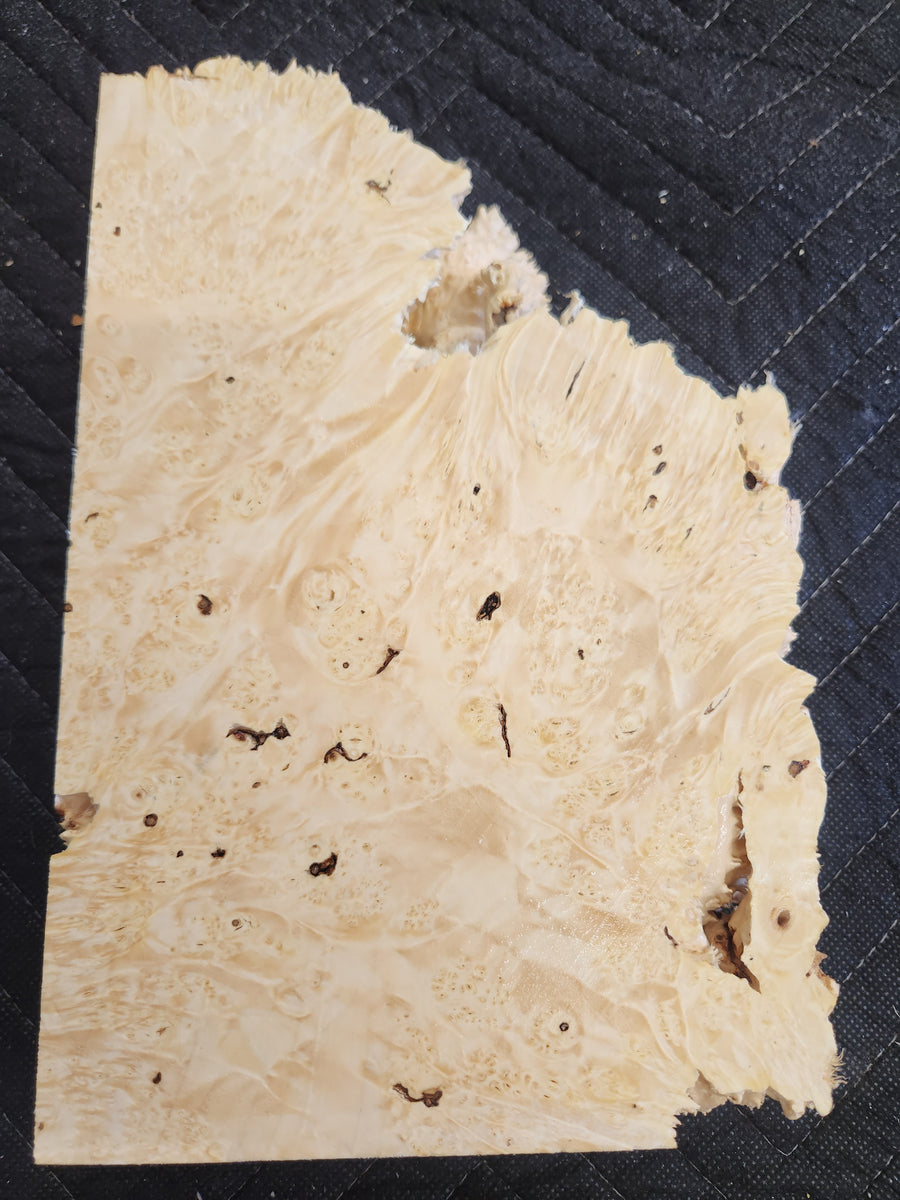 Box Elder Burl Slab
