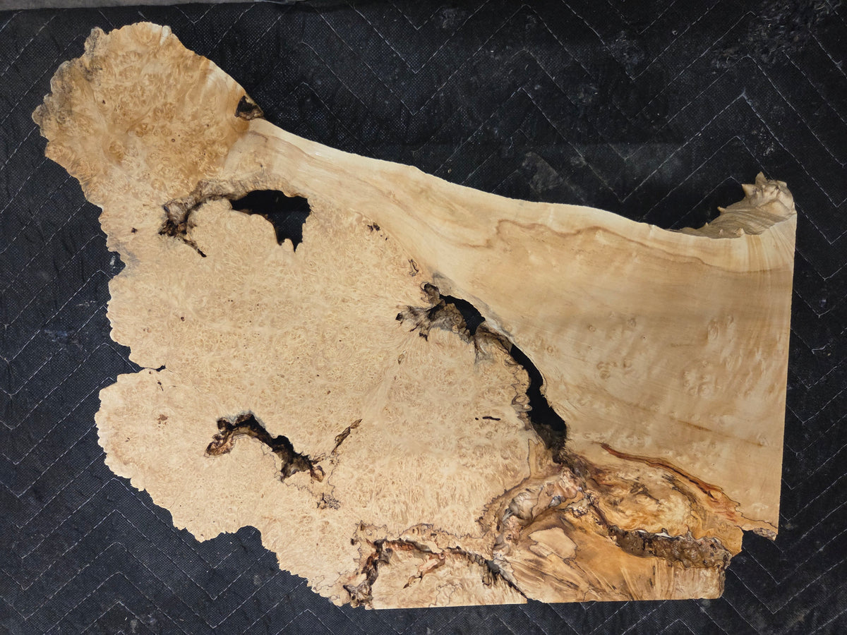 Box Elder Burl Slab