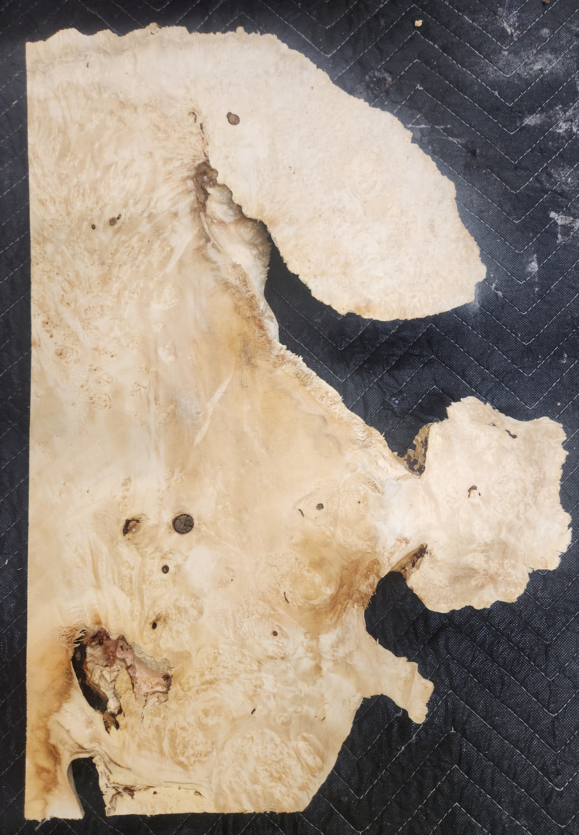 Box Elder Burl Slab
