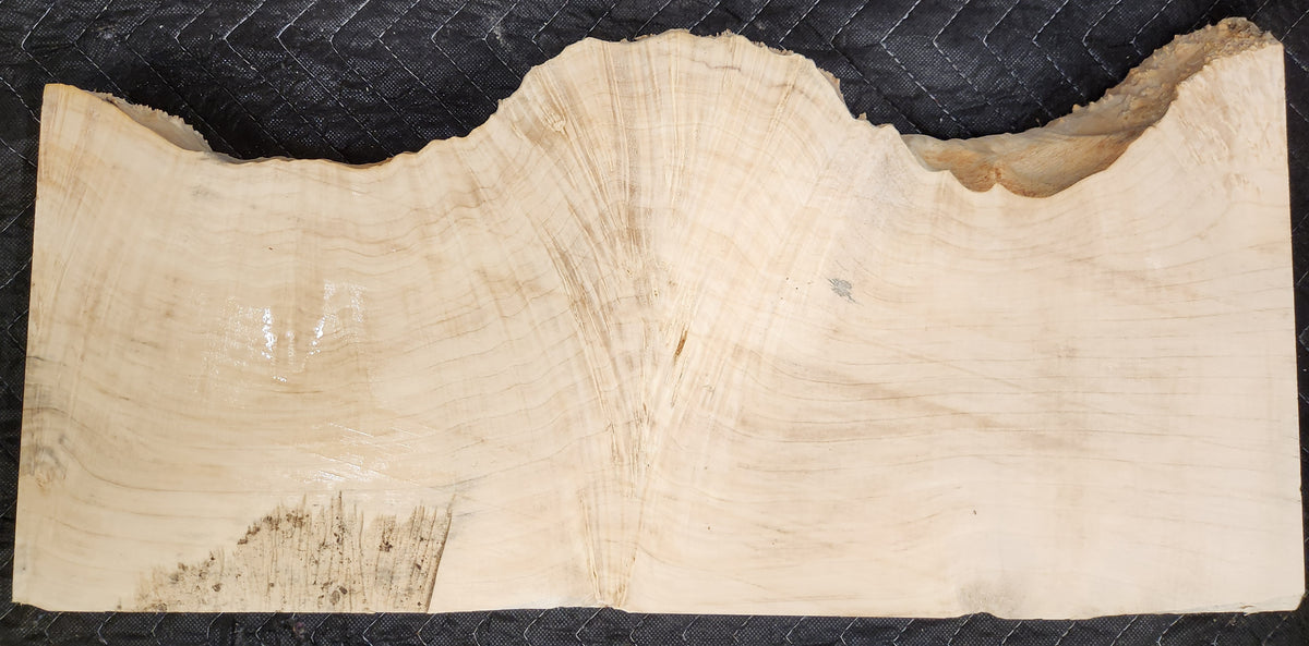Box Elder Burl Slab