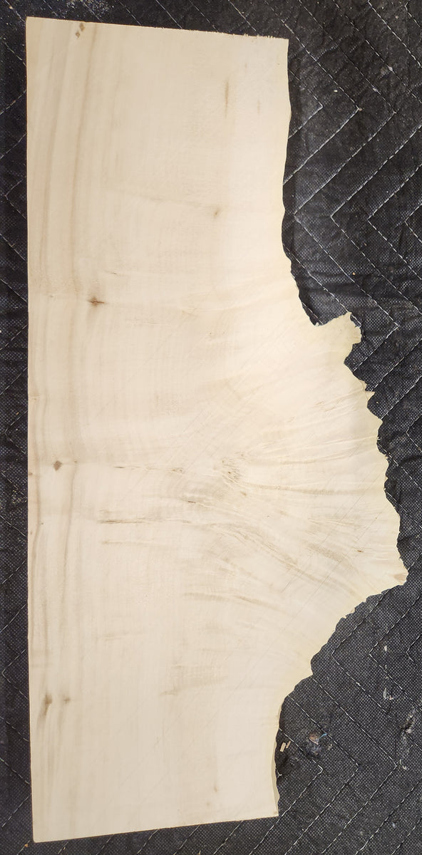 Box Elder Burl Slab