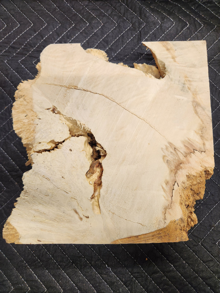 Box Elder Slab – Oakbrook Wood Turning Supply