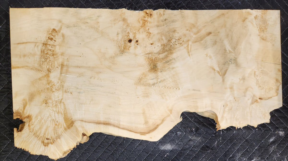 Box Elder Burl Slab