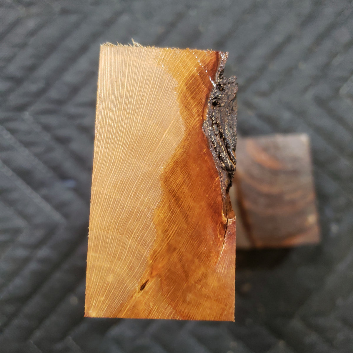 Sycamore Knife Scale