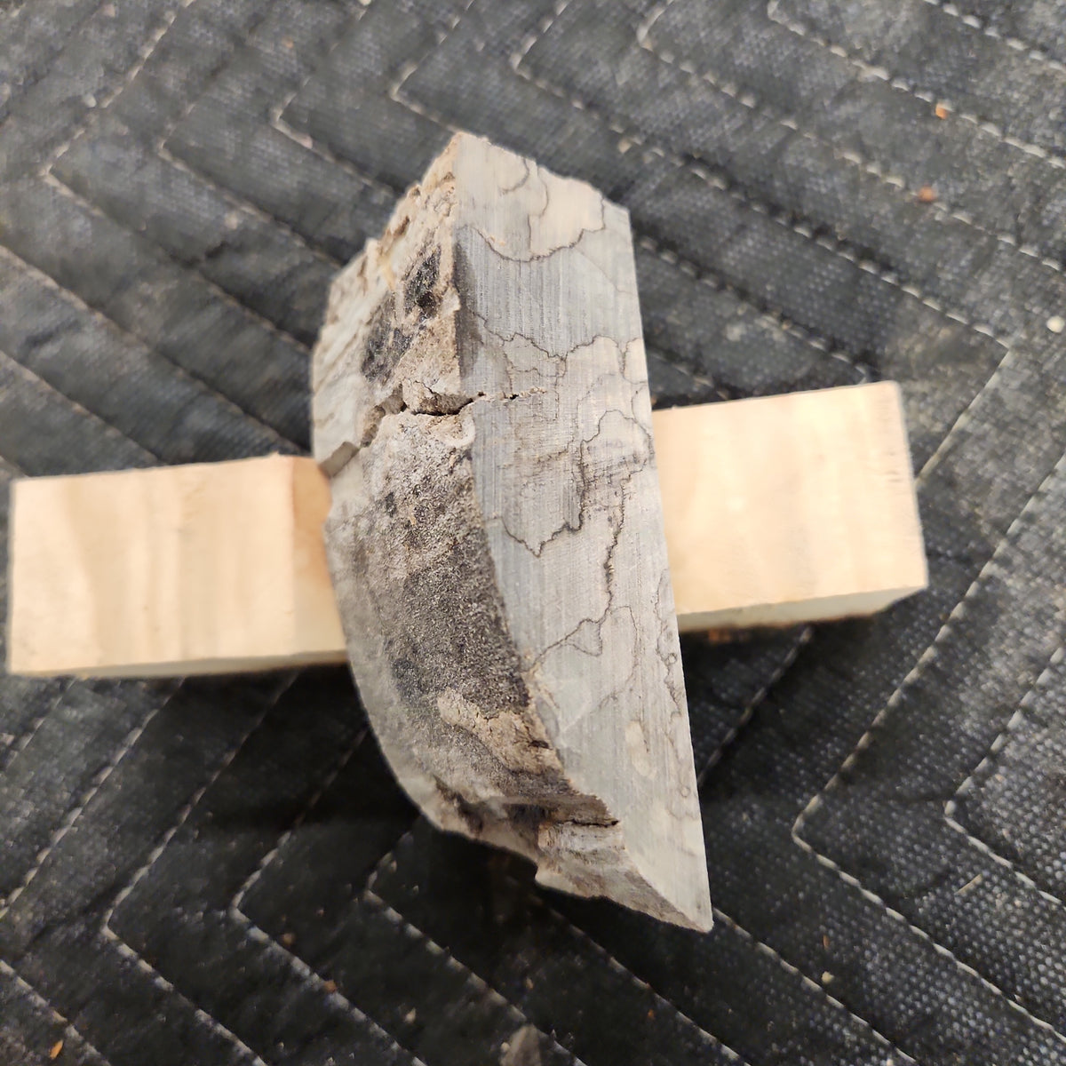 Casting Hackberry – Oakbrook Wood Turning Supply