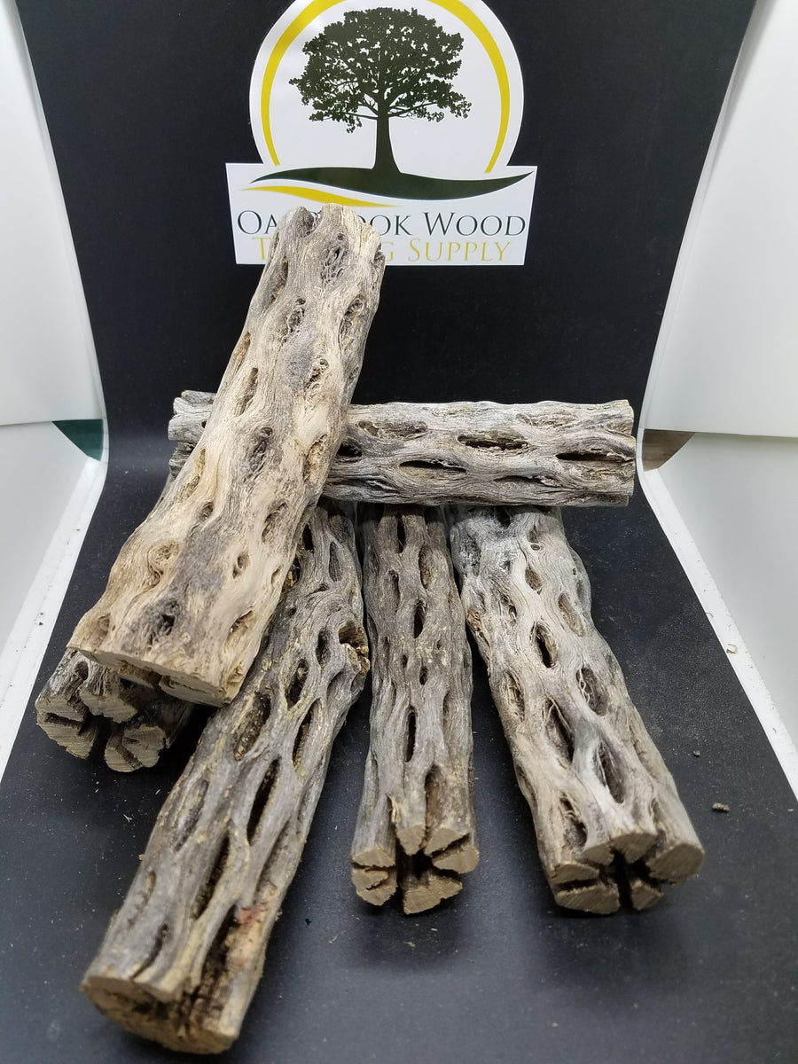 Cholla Casting – Oakbrook Wood Turning Supply