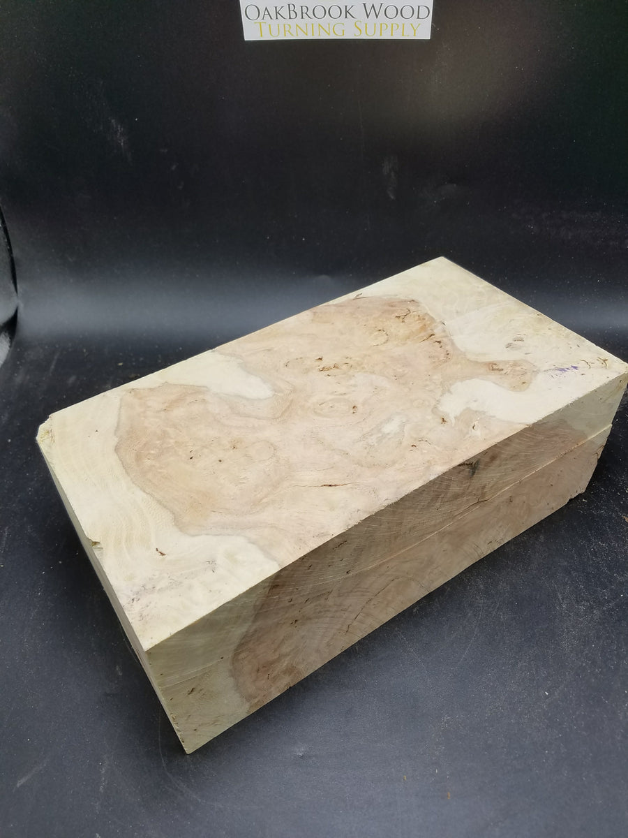 Honey Locust Burl