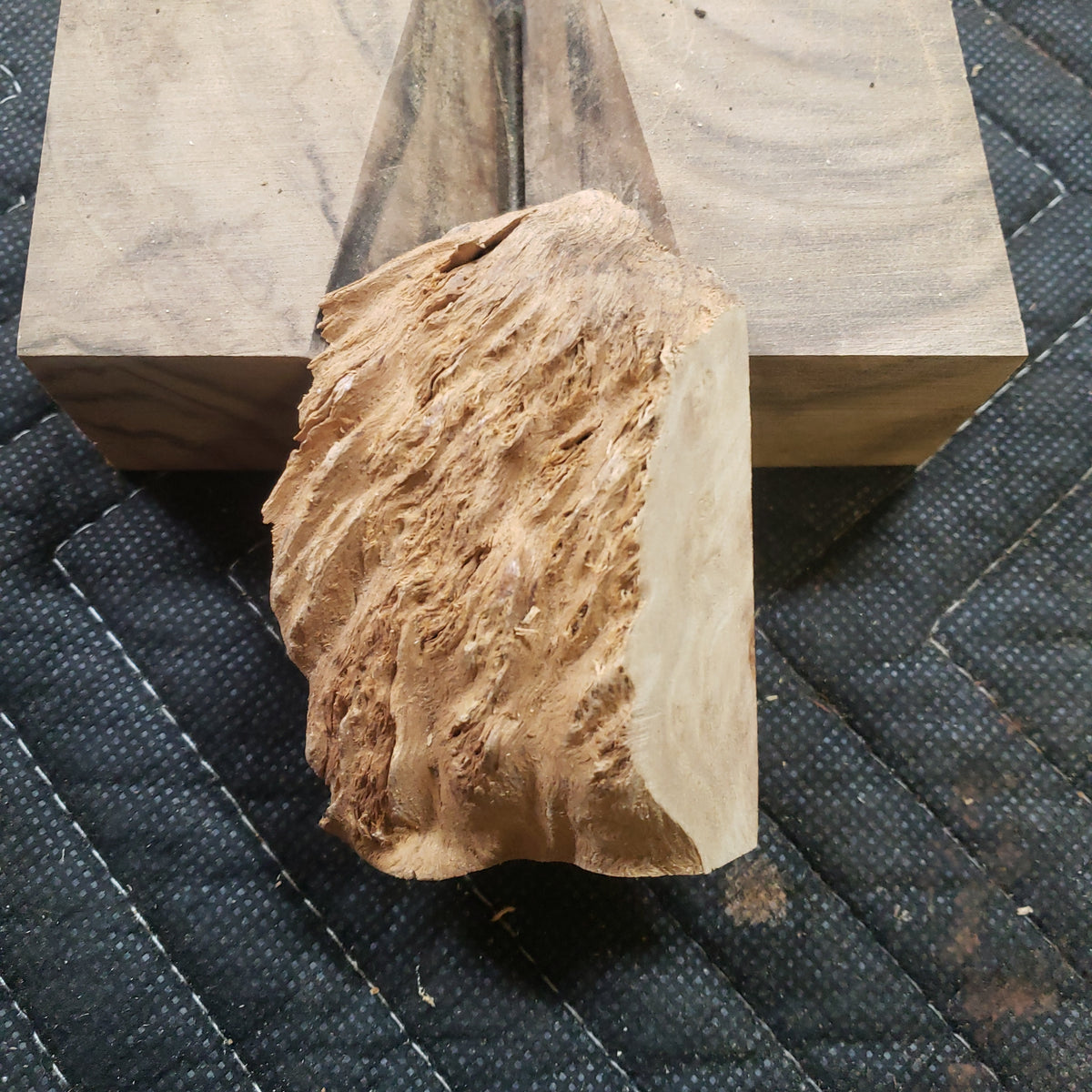 Casting Yellow Box Burl